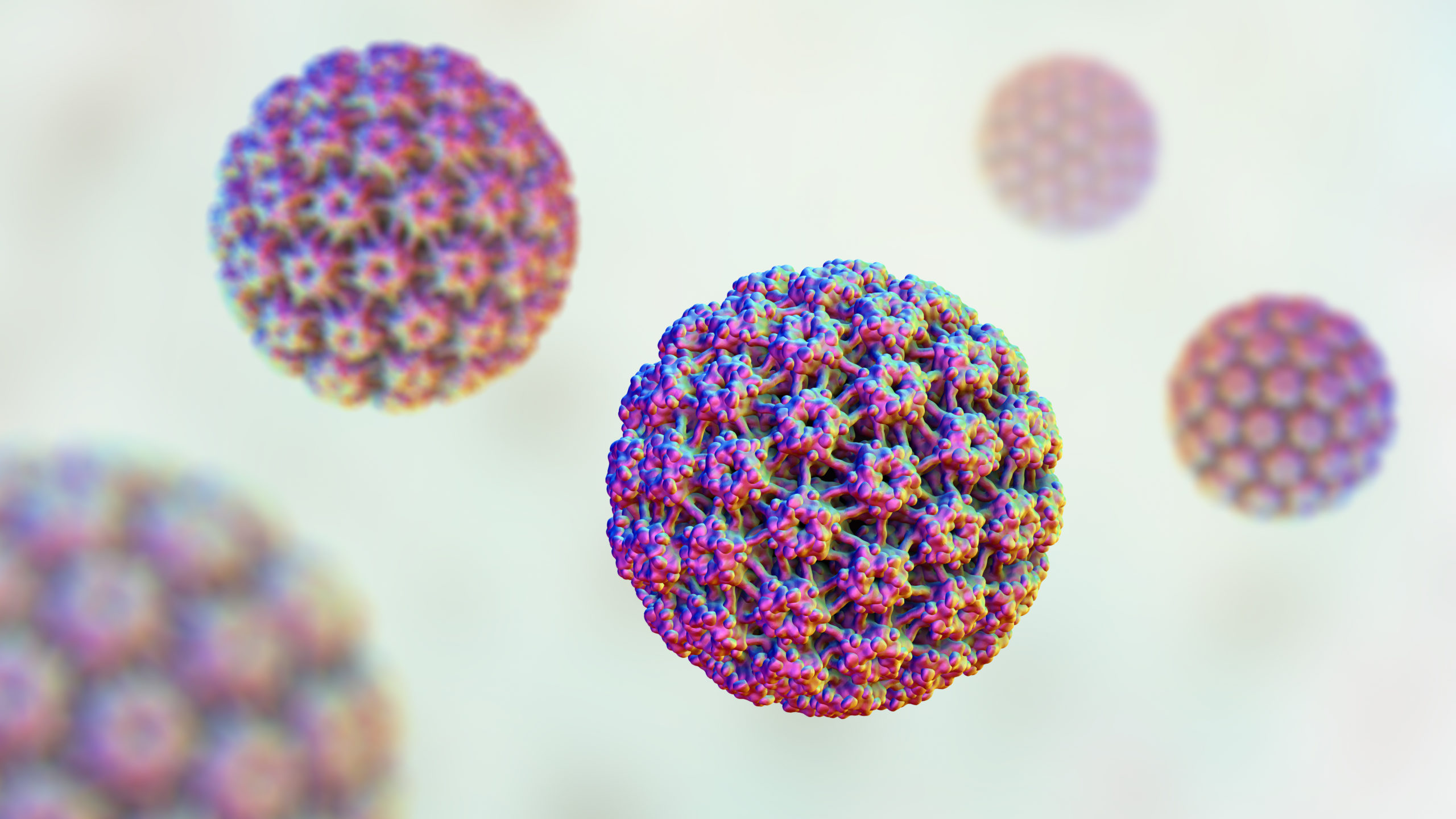 Virus Del Papiloma Humano Vph Fundacion Luis Pasteur